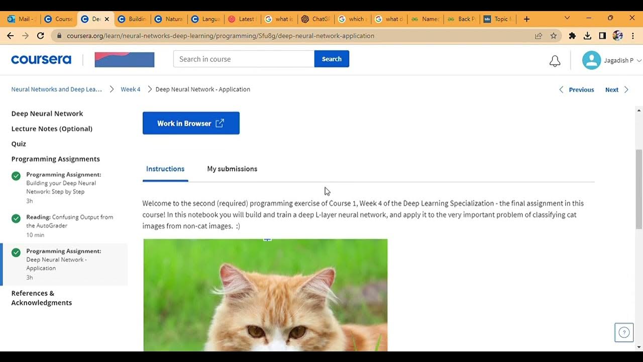Building your Deep Neural Network Step by Step Coursera week 4 programming assignment - YouTube