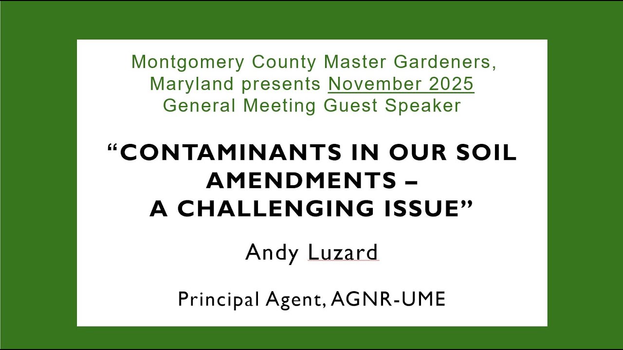 2025 November MCMG Presentation Contaminates by Dr. Lazur - YouTube