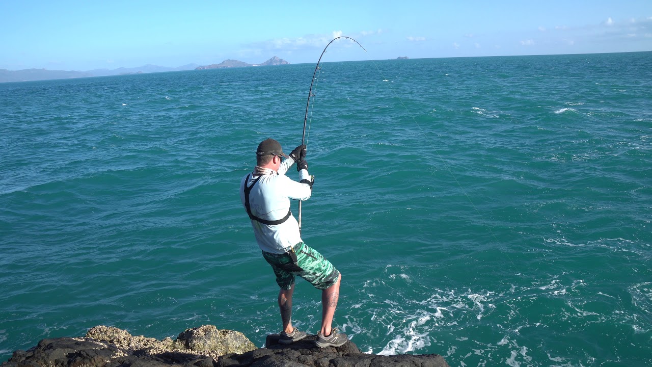 Big Queenfish - YouTube