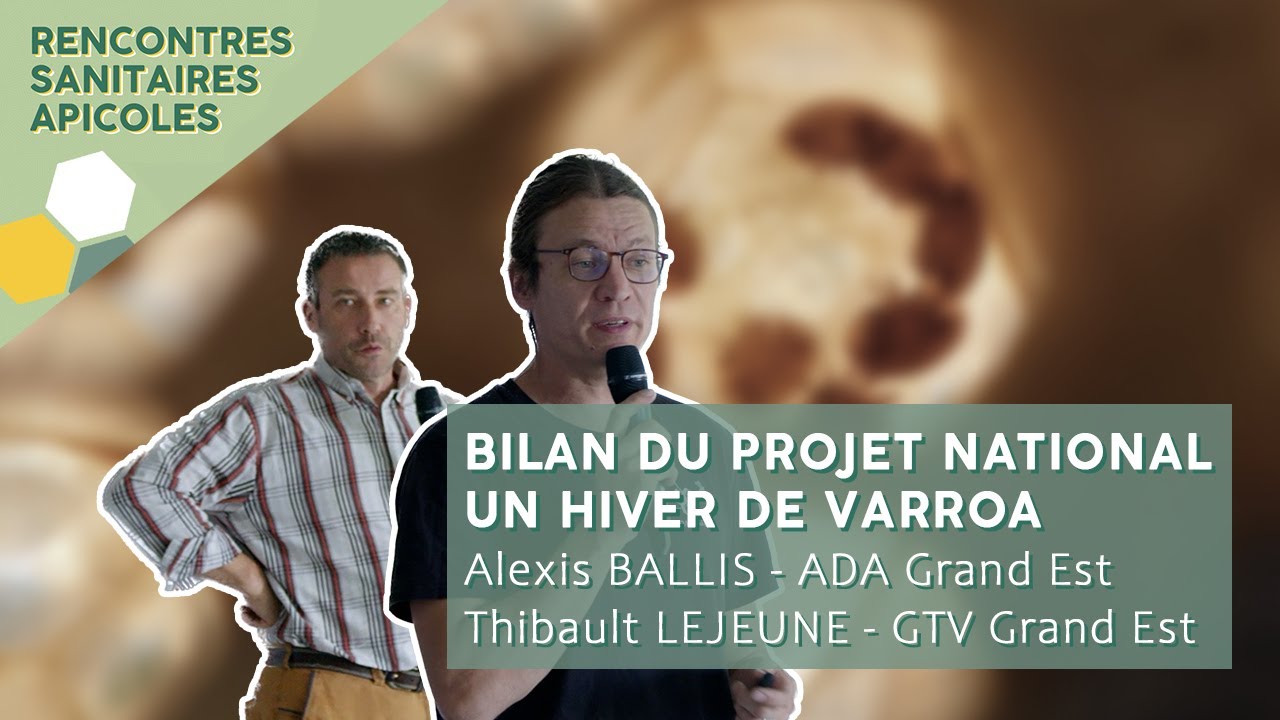 Lutte contre le Varroa : présentation d'un projet national | Alexis ...