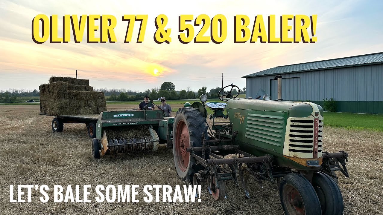 The Oliver 77 And The 520 Baler Take On The Straw! Will It Eat It Up Or ...