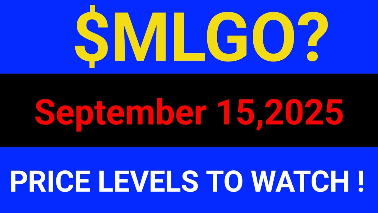 MLGO Stock (MicroAlgo, Inc.) MLGO Stock Analysis | MLGO Stock Price ...