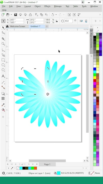 How to use Transparency Tool in CorelDraw (Part52) - YouTube