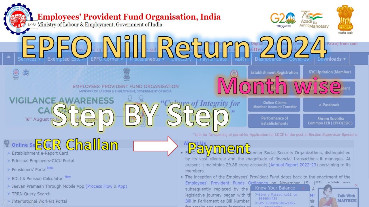 How To File #epf #Nil #returns Filing #2024 | #pf Nil Return charges # ...