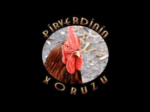 Pirverdinin xoruzu