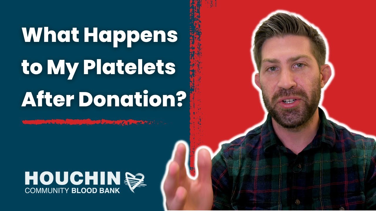 What Happens to My Platelets After My Donation? | Houchin Blood Bank | Donor Education - YouTube
