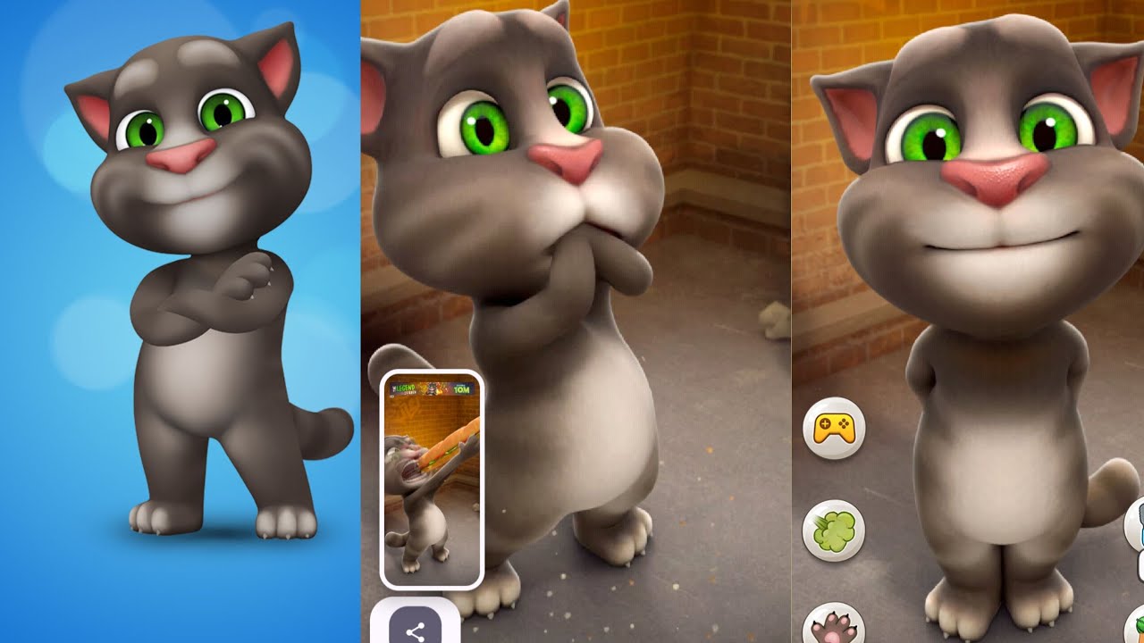 TALKING TOM CATS. - YouTube