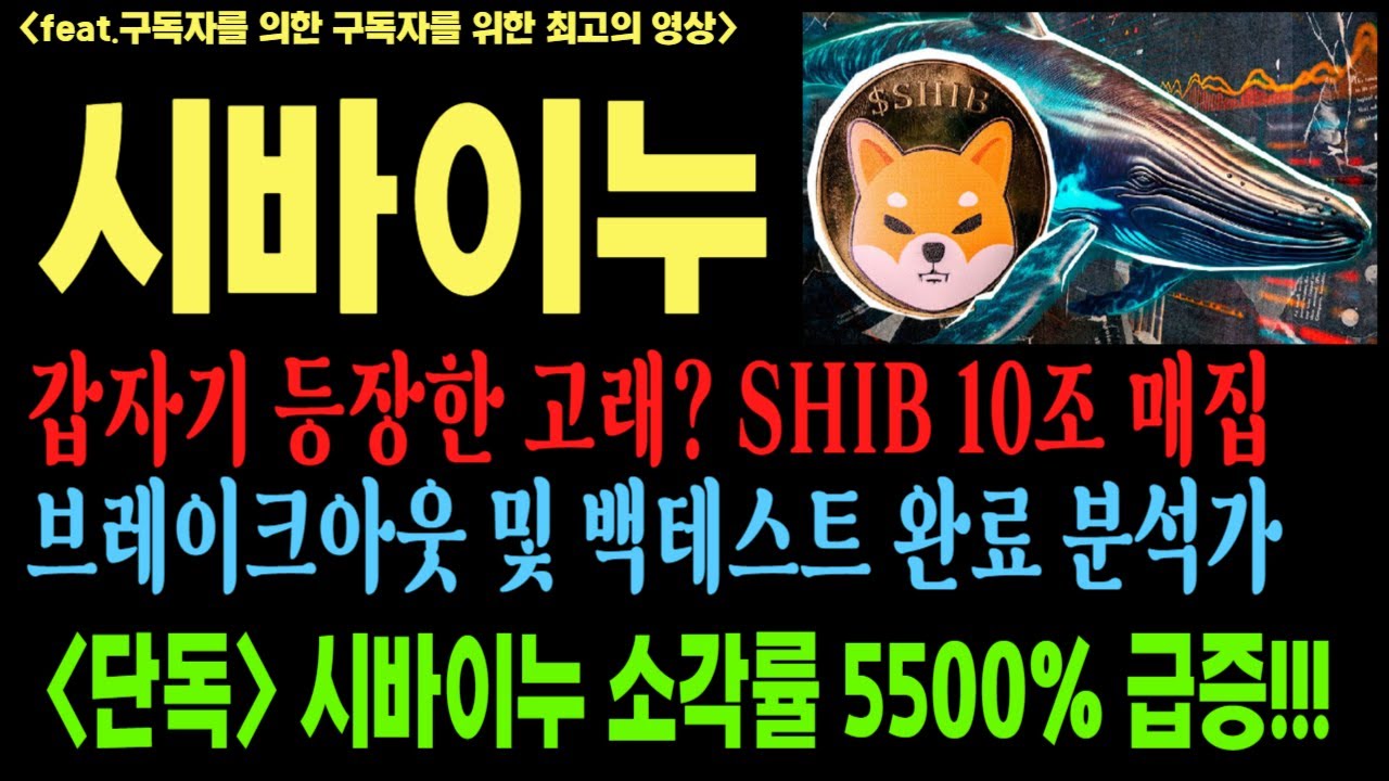 시바이누 시바이누코인 시바이누코인전망 shib doge 코인전망 비트코인 이더리움 도지코인 - YouTube