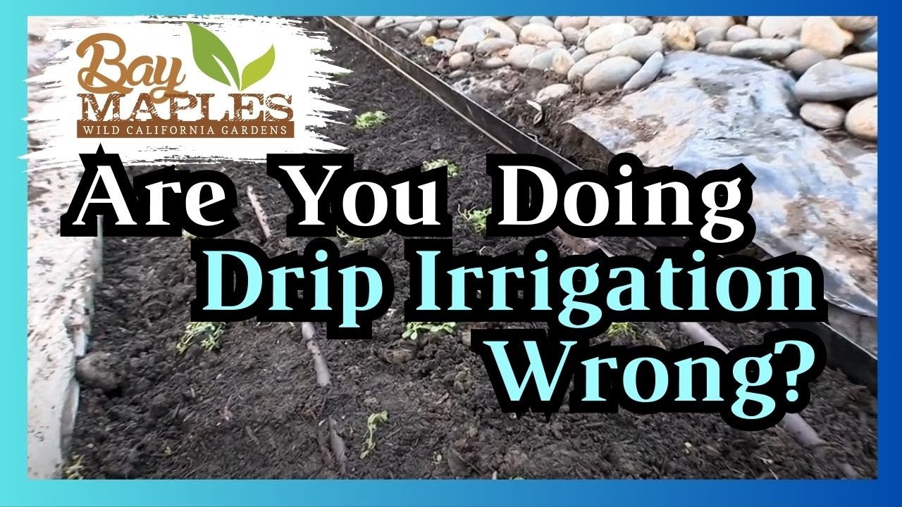Knowledge Drop – Drip Irrigation - YouTube