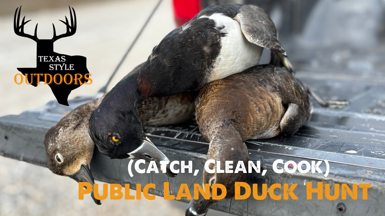 Public Land Duck Hunt -- LBJ Grasslands -- Catch, Clean, and Cook ...