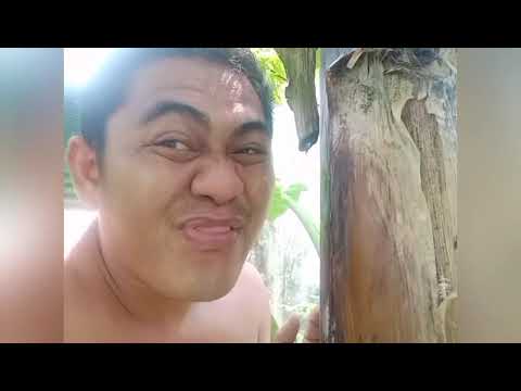 BeatBox challenge|queendy vlog