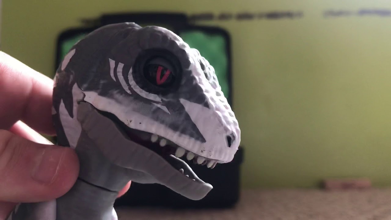 All my untamed toys - YouTube