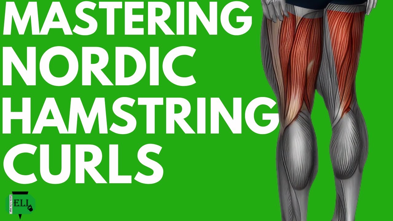 The Nordic Hamstring Curls [Beginner's Guide] - YouTube