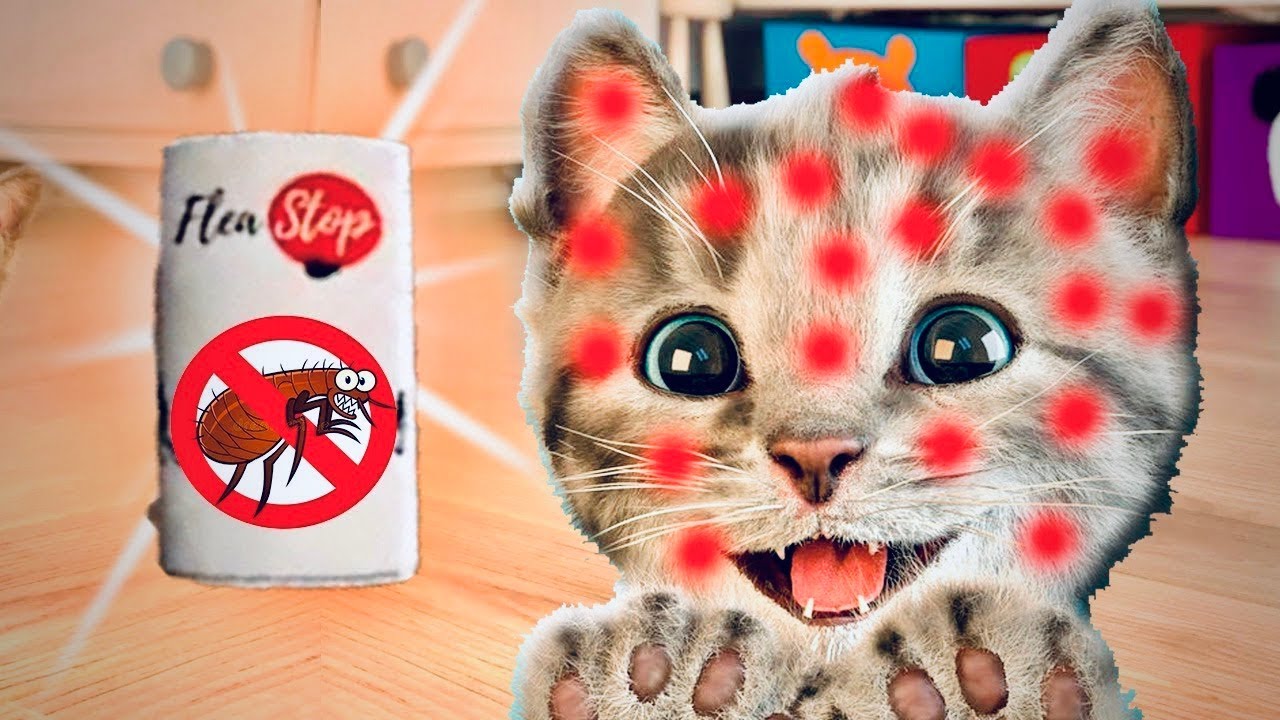 Little Kitten Adventure - New Xmas update! Animal Kindergarten ...