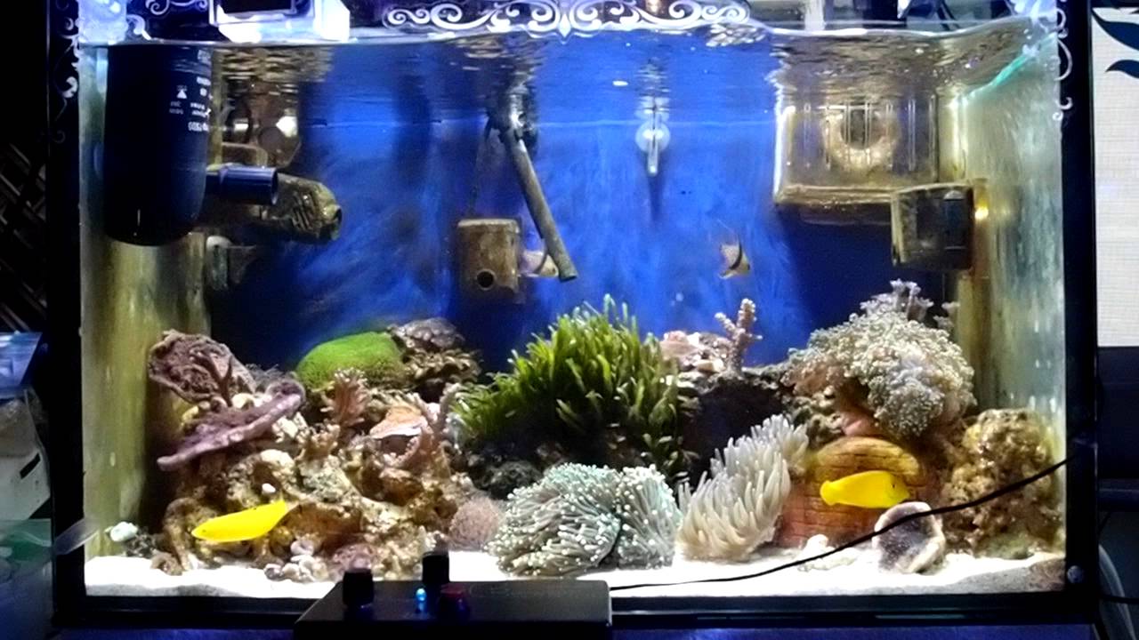 DIY Wave Maker - YouTube