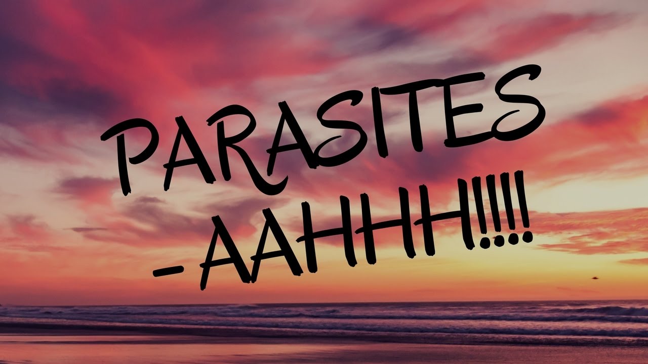 Removing parasites with the Spirit Code - YouTube