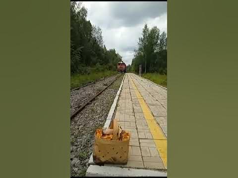 Грибная электричка - YouTube