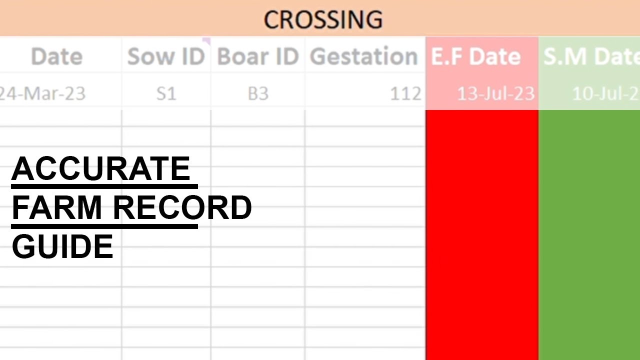 My Record Keeping Guide to Track My Pig Farm's Profitability (Template ...