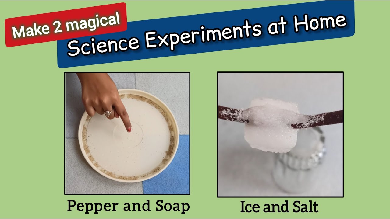 Make a simple science Experiment at home || salt and pepper science ...