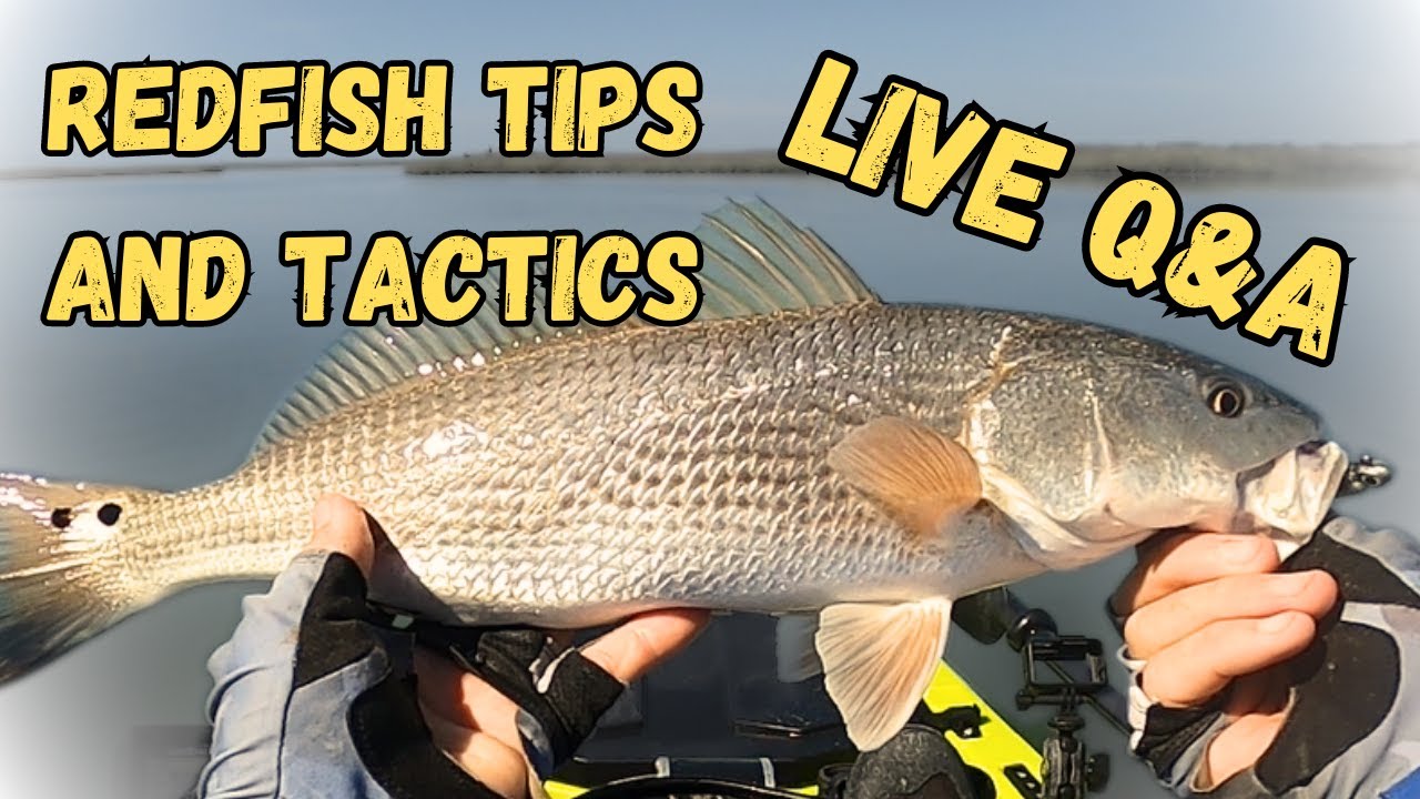 Patterns, Tackle, Tides and Tactics to help you catch more Redfish ...
