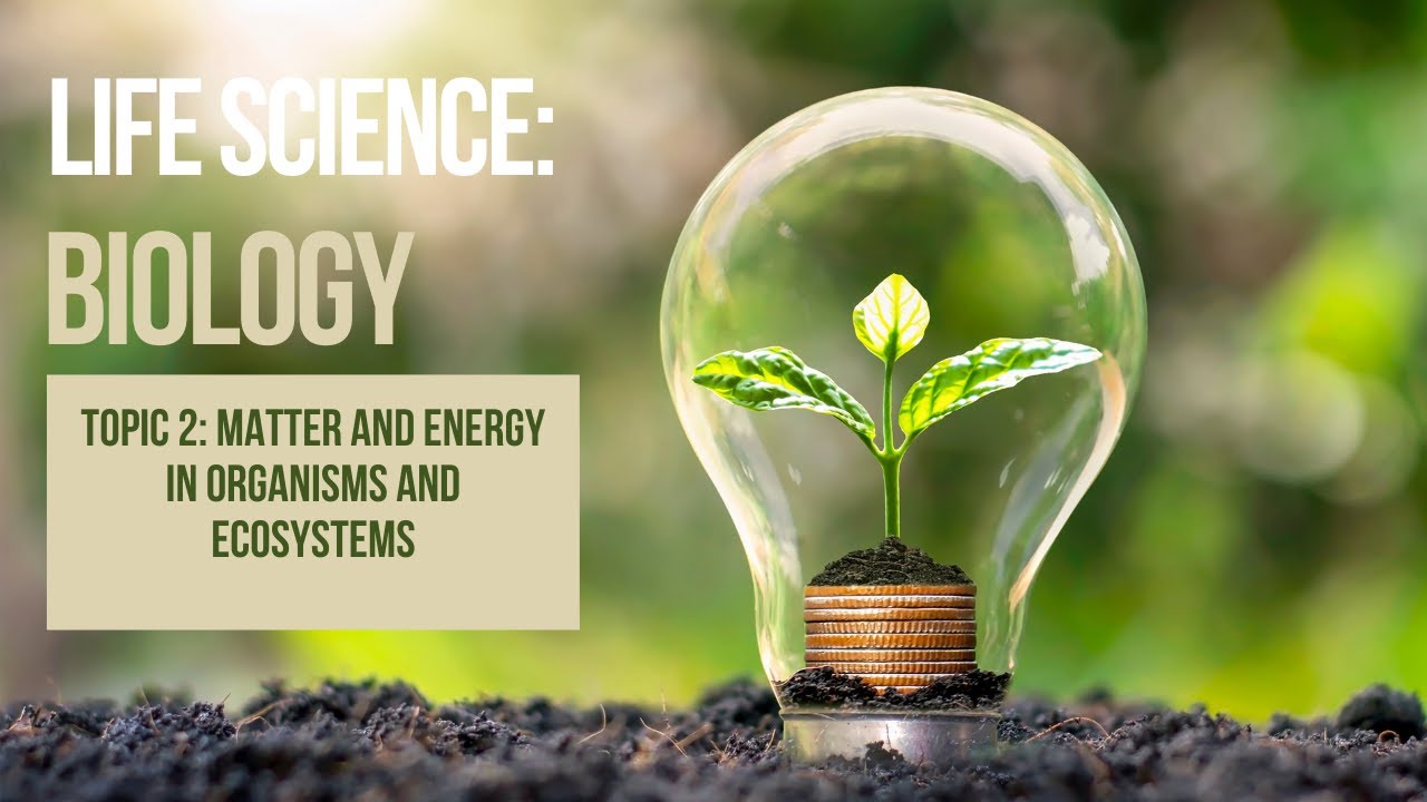 Topic 2: Matter and Energy in Organisms and Ecosystems - YouTube
