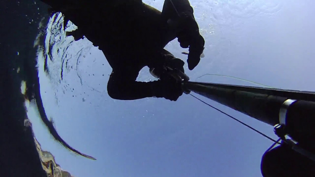 ψαροντουφεκο αντίδοτο στην κλεισούρα Νο2 spearfishing - YouTube