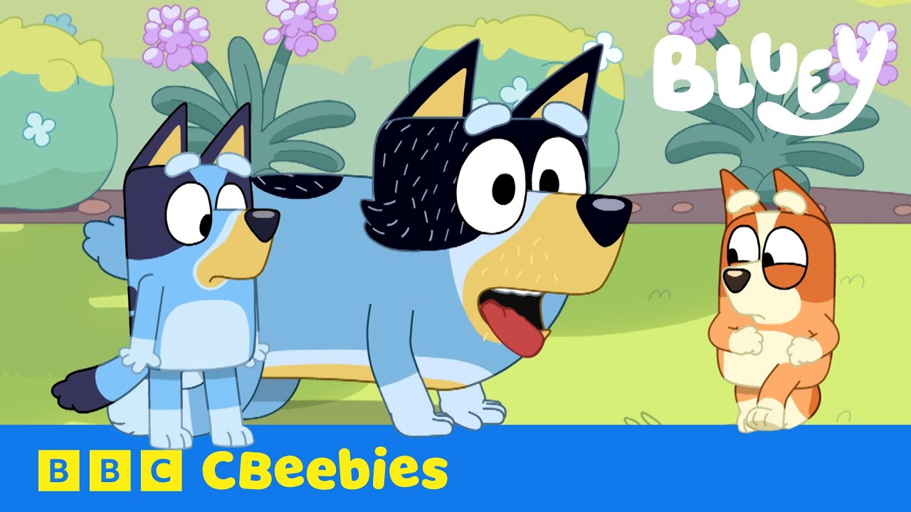 Bluey plays Sheepdog with Bingo and Dad | CBeebies - YouTube