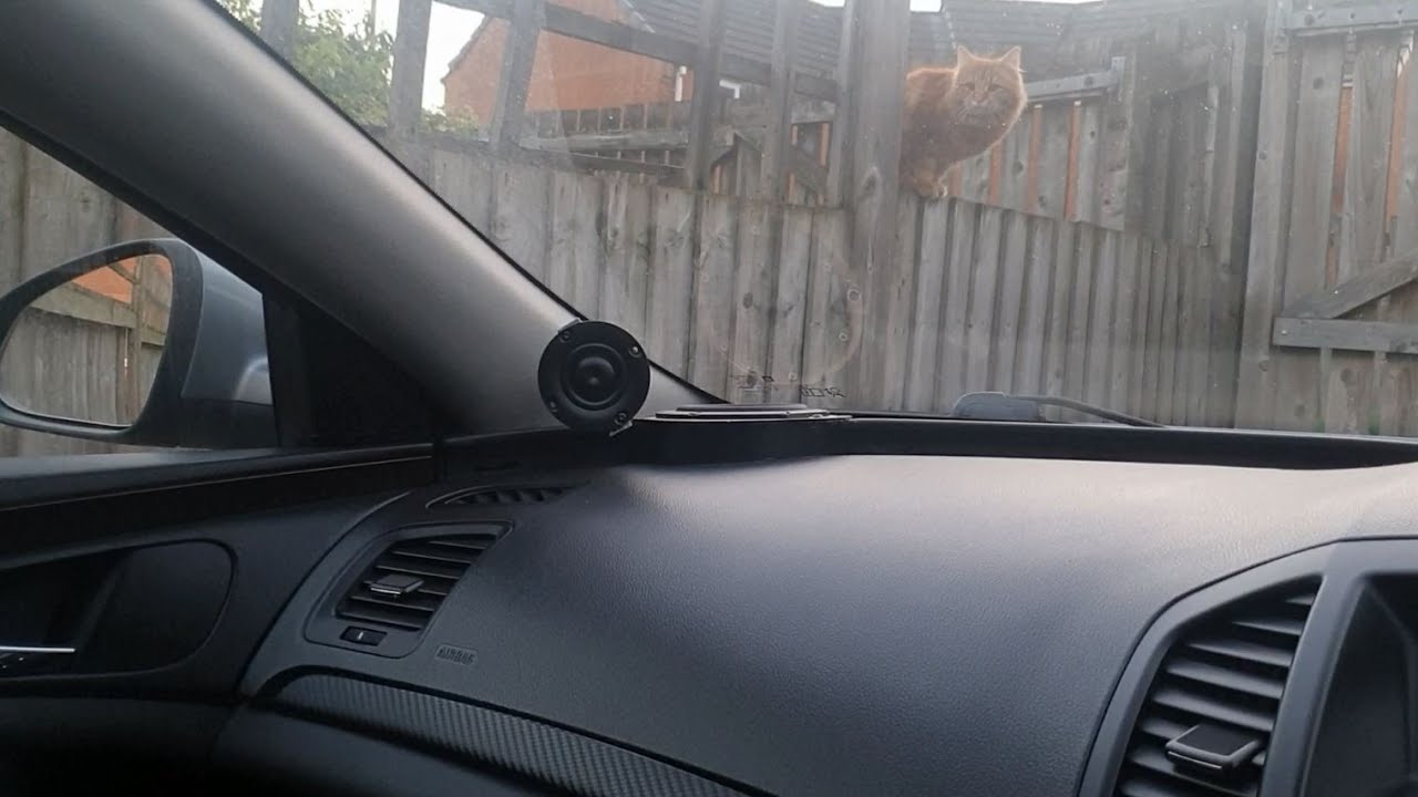 My impressions on SB29 tweeters, Peerless drivers and Dayton sub. - YouTube