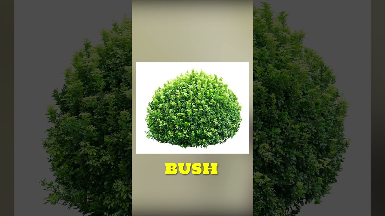 B2 ENGLISH WORDS YOU MUST KNOW YouTube B2 ENGLISH WORDS YOU MUST KNOW YouTube