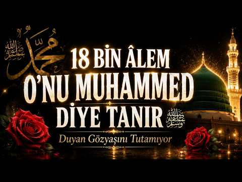 18 Bin Âlem O'nu Muhammed Diye Tanır 🌹 | Duyan Gözyaşını Tutamıyor | Duygusal İlahi