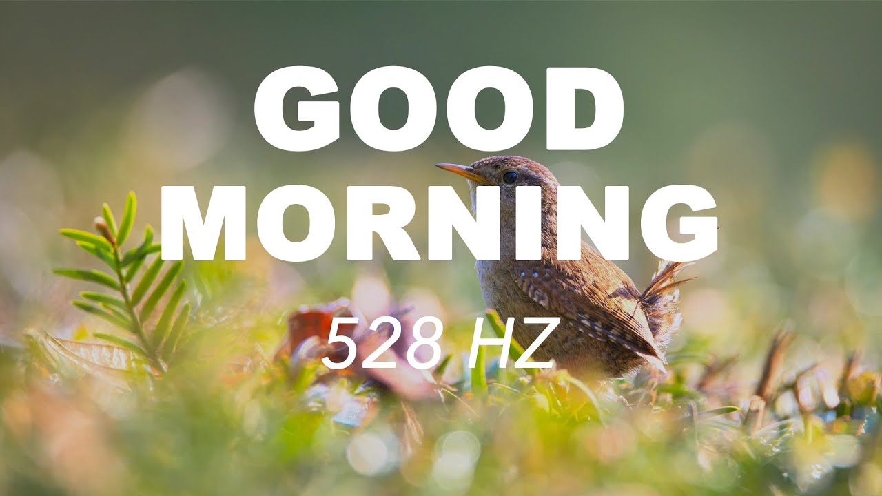 GOOD MORNING Music at 528 Hz, Boost Positive Energy, Peaceful Morning ...