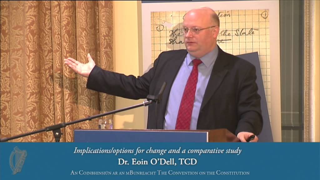 Dr. Eoin O'Dell (TCD) - Convention on the Constitution (02/11/13) - YouTube