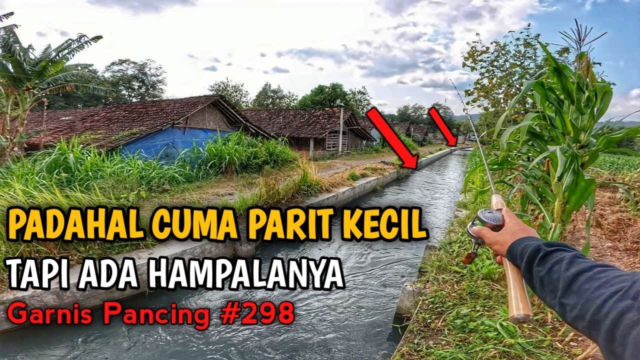 LIHAT PEMANCING INI CASTING DI PARIT KECIL‼️STRIKE IKAN HAMPALA DAN ...