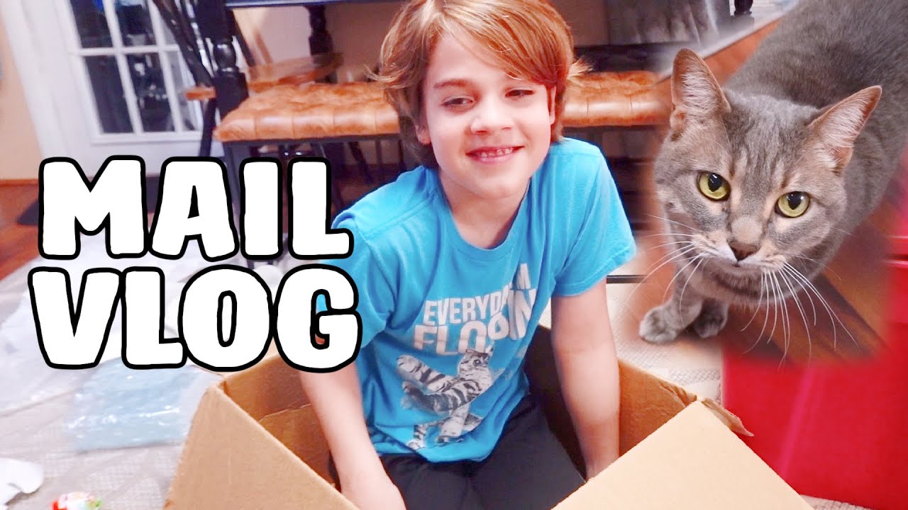 He Finally Turned Into a Cat - Mail Vlog - YouTube