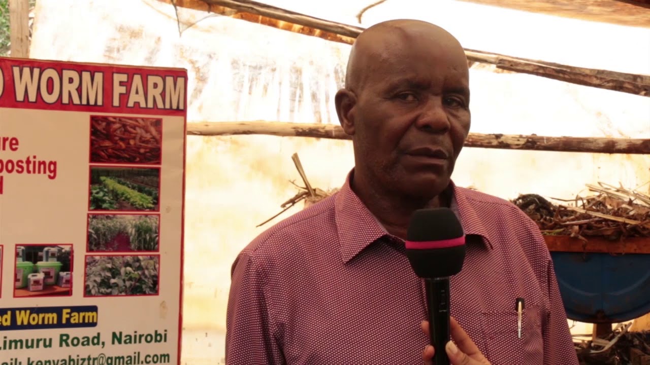 RED WORMS: how,where & when should i apply them? - YouTube