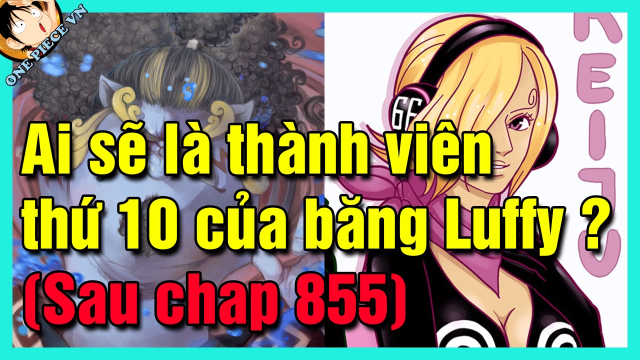 Ai sẽ là thành viên thứ 10 của băng Luffy (Sau chap 855) - [ONEPIECEVN ...