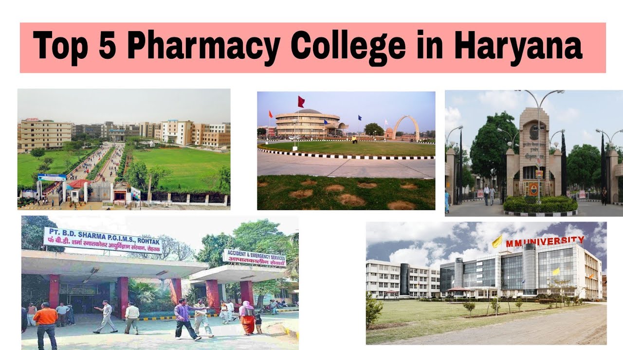 Top 5 B.Pharm College in Haryana | Best Pharmacy College in India ...