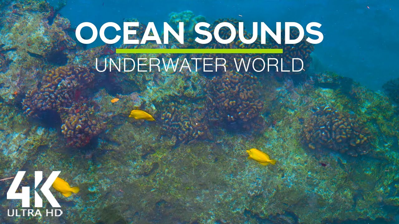 8 HOURS Gentle Ocean Sounds for Deep Relaxation and Good Sleep - 4K ...