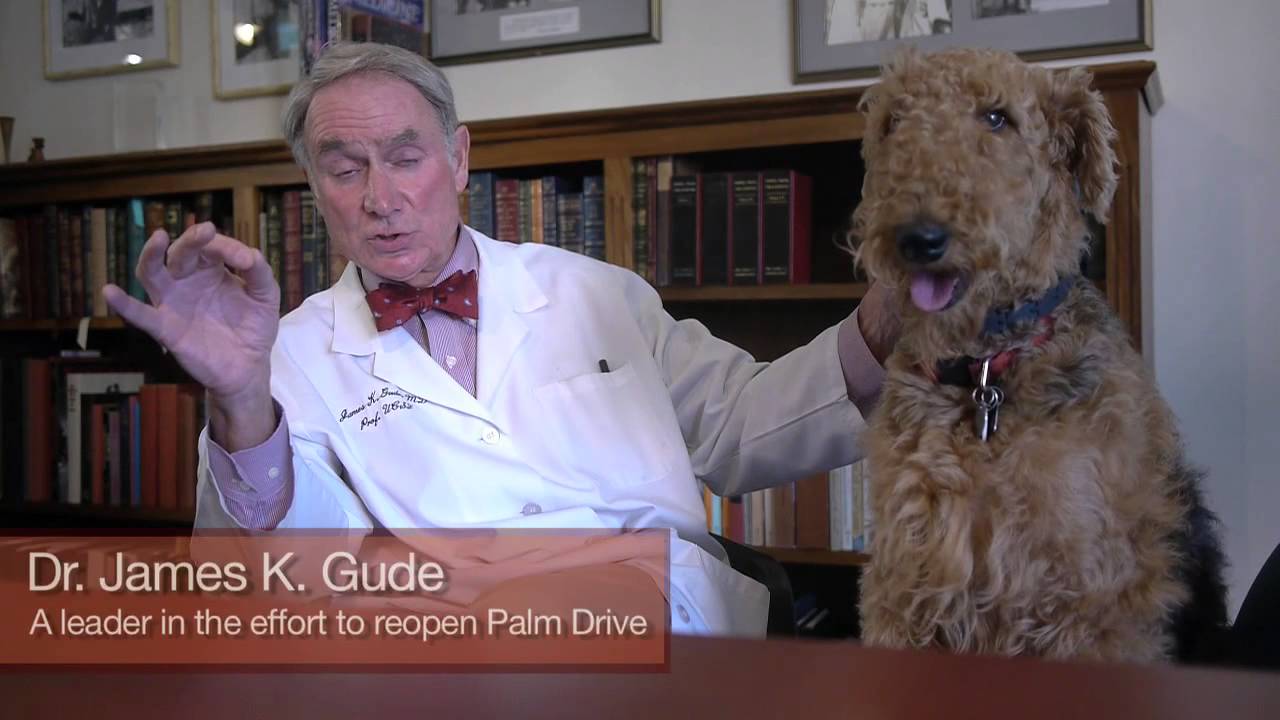 Greenberg for Council - Testimonial: Dr. James K. Gude - YouTube