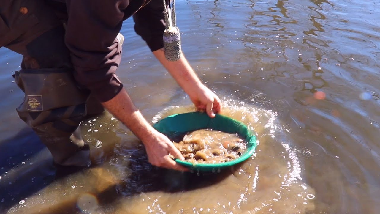 Gold Panning in Colorado - YouTube