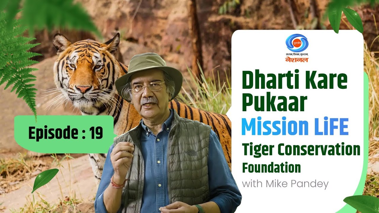 Dharti Kare Pukaar | Mission Life | Tiger Conservation Foundation ...