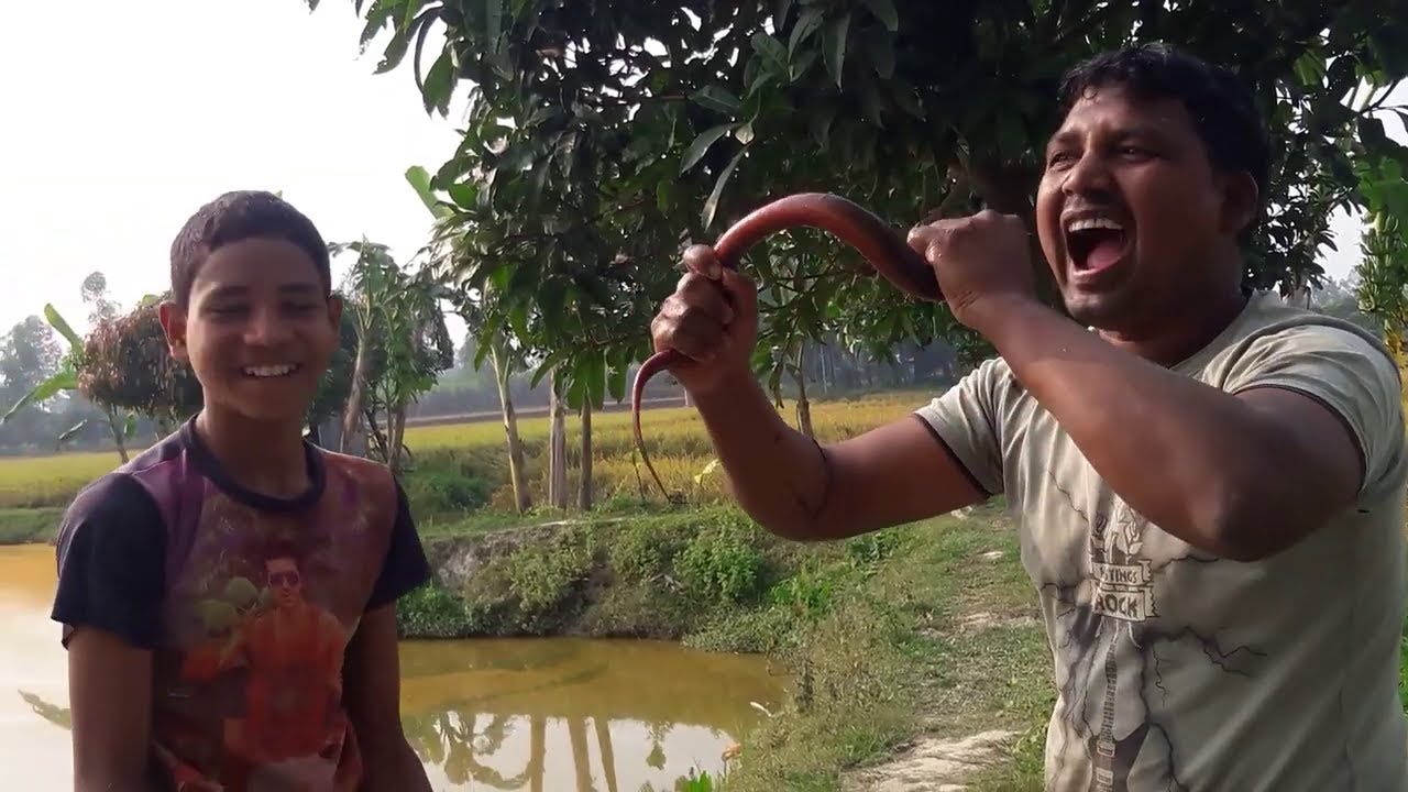 How To Catch Eel Fish Using Mosquito Net - YouTube