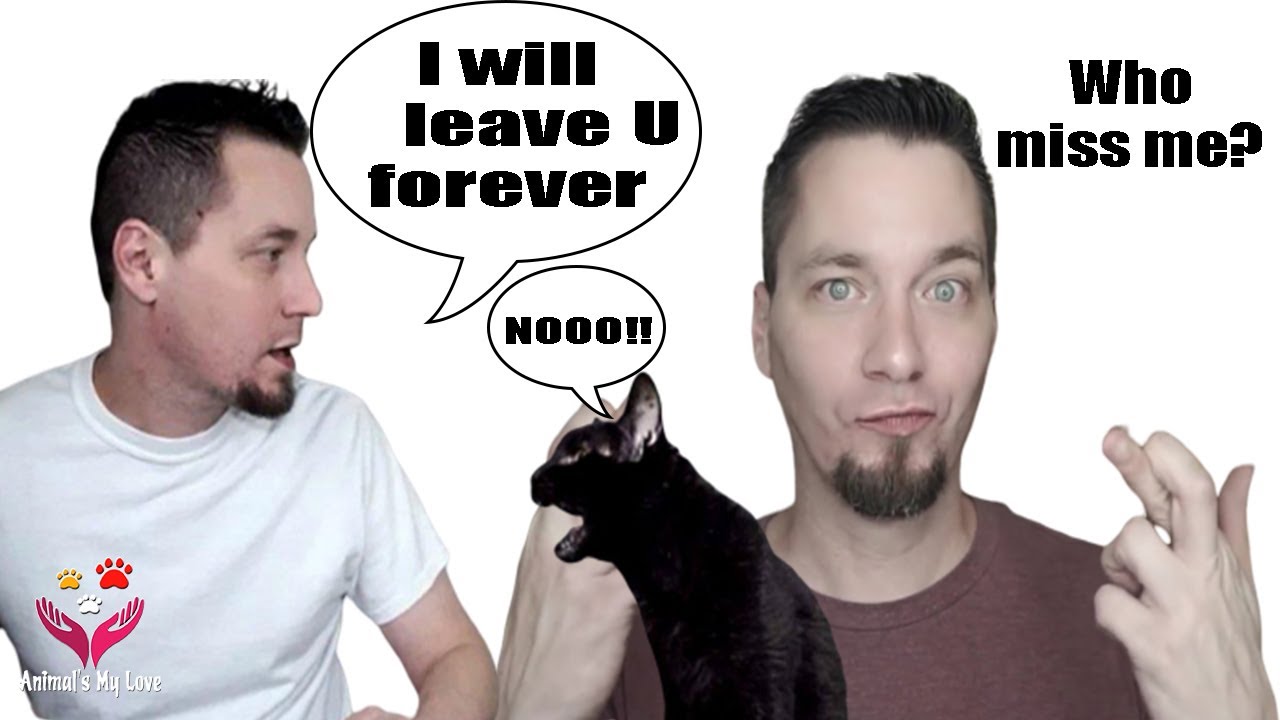 Revealing 5 videos making the audiences remember Steve Cash and ...