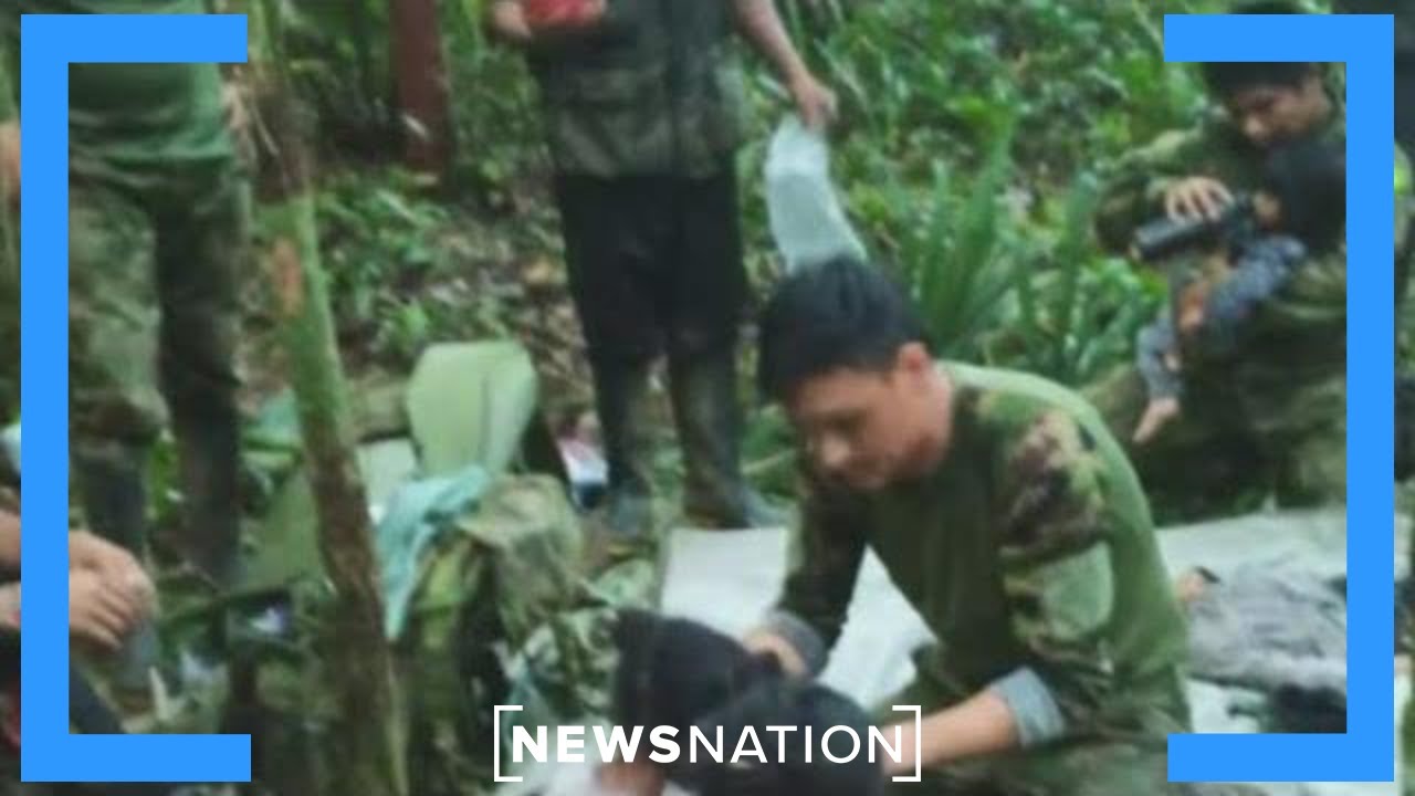 Miracle Amazon jungle survivors were fleeing violence, family says ...