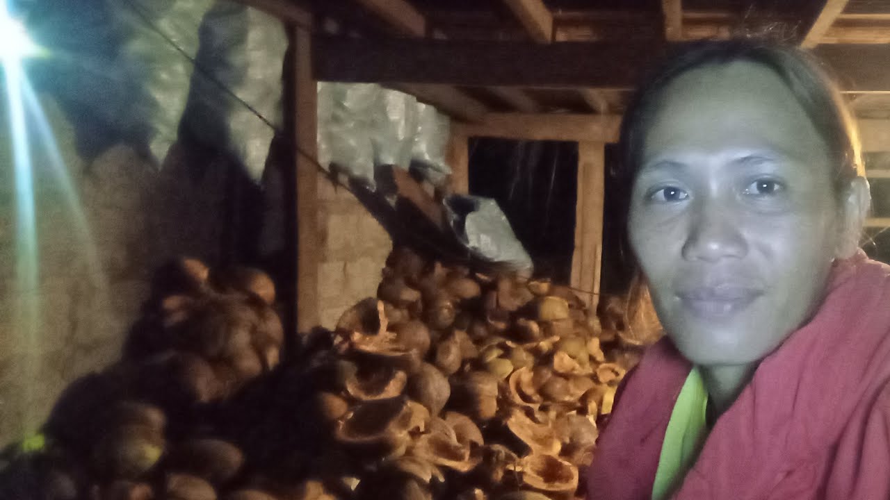 Landahan is life @JaperSniperOfficial #Soweird family - YouTube