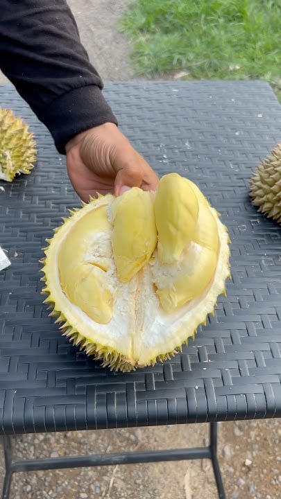 Durian montong berat 1,1 kilo #doniartawan - YouTube