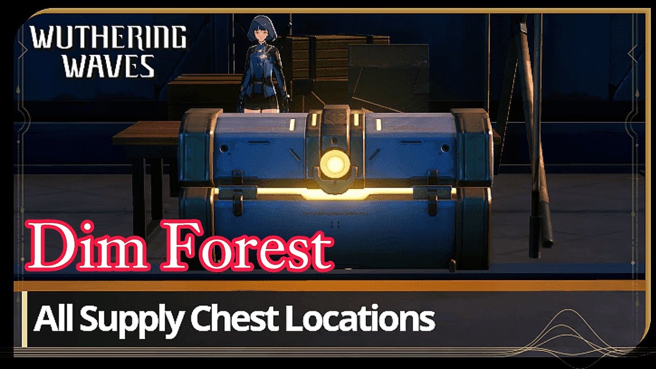 all Chest Dim Forest Wuthering Waves - YouTube