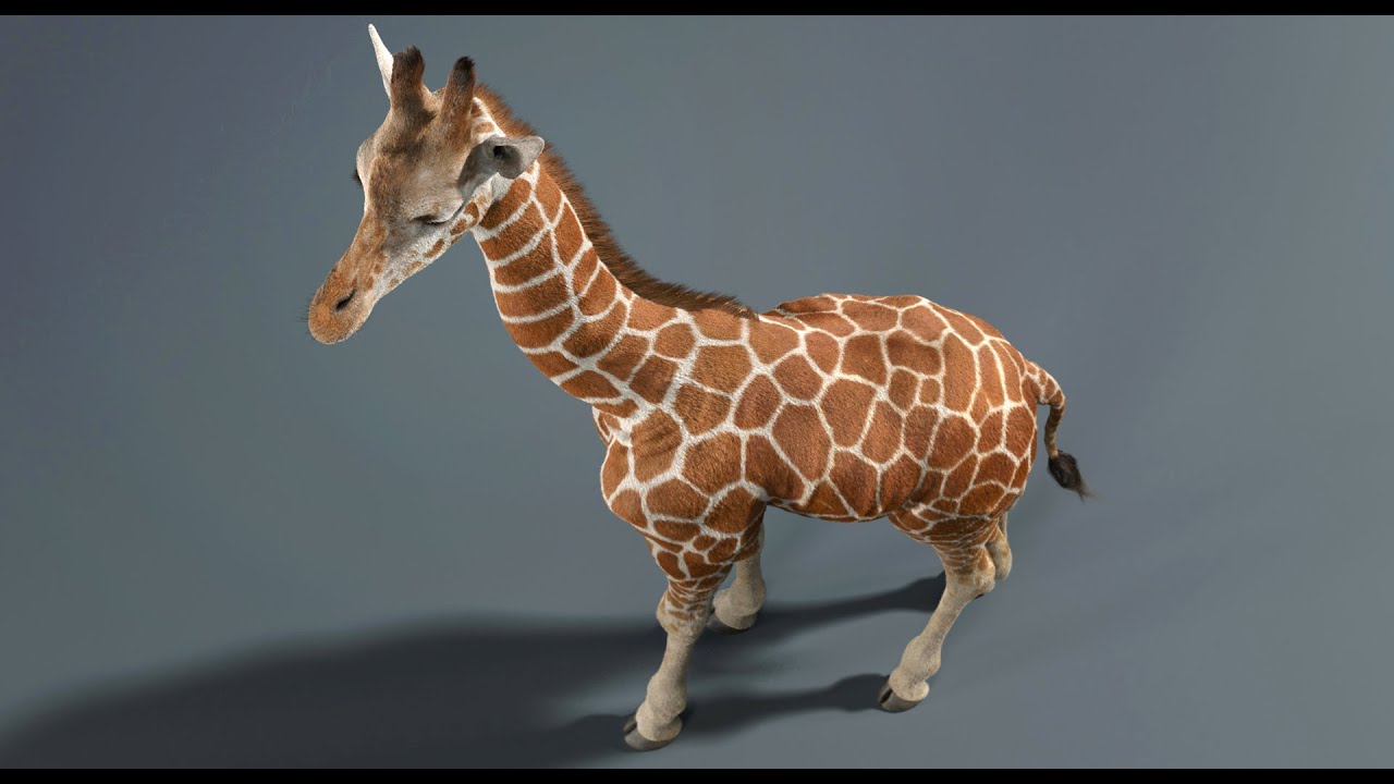 Giraffe Rig & Animation - YouTube