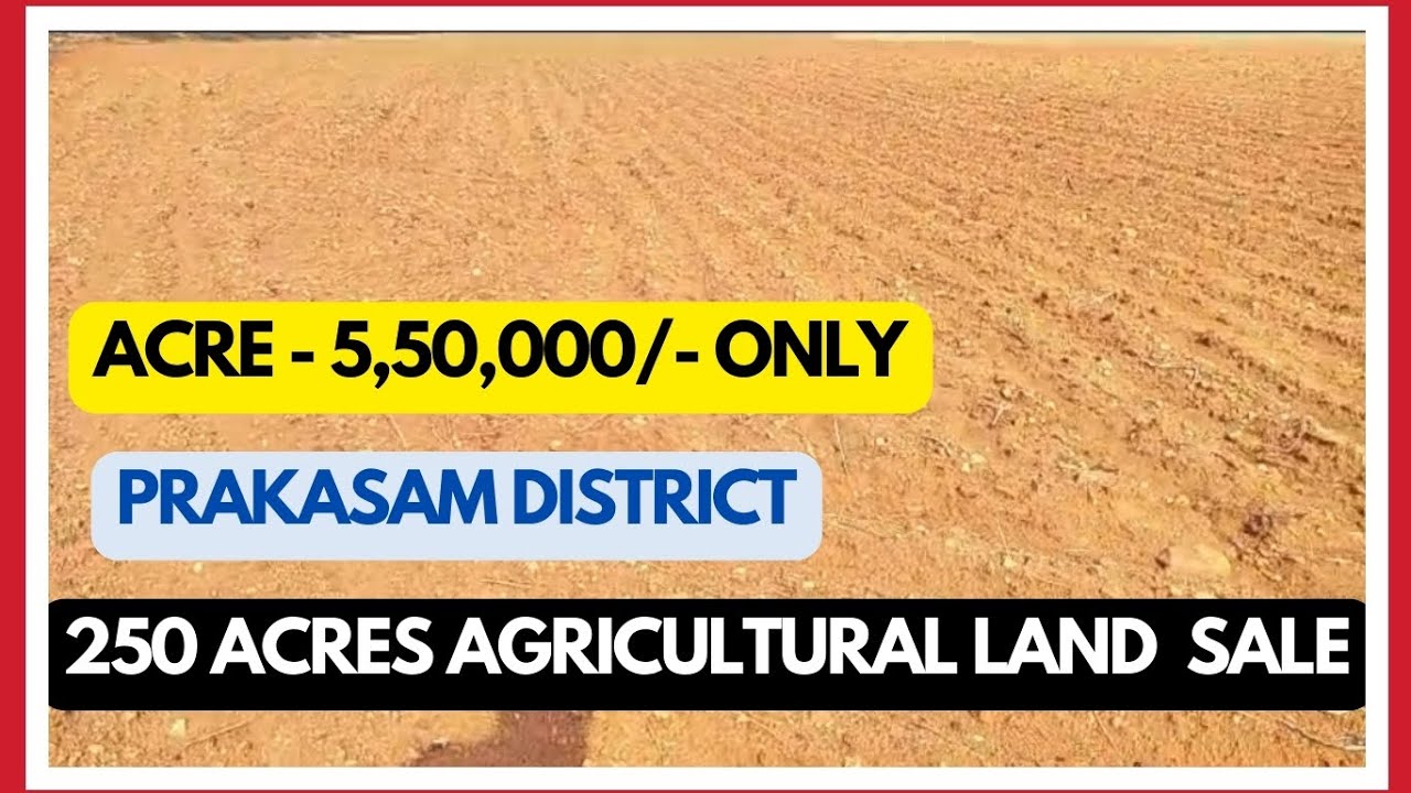 250 Acres Agricultural land sale Prakasham district, Pamuru mandal, AP ...