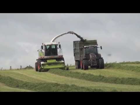 Claas Arion 640 Rickerby Special BLACK A Frizell Agri Contractor ...